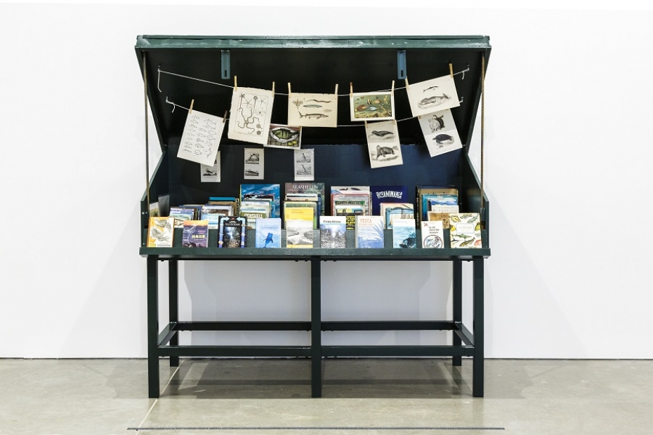 Mark Dion: Misadventures of a 21st-Century Naturalist | icaboston.org