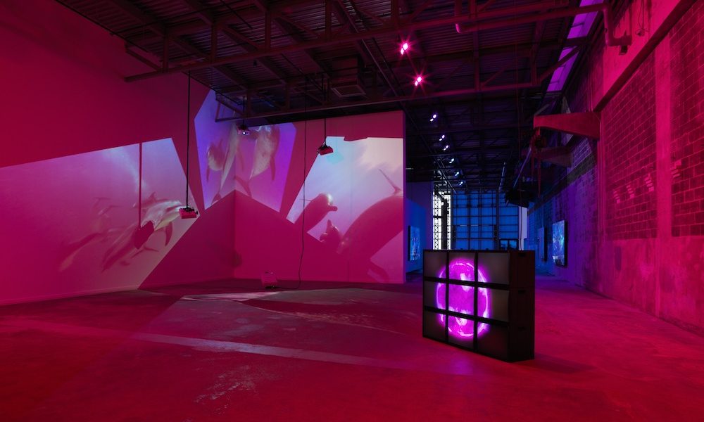Past Exhibitions - ICA Boston