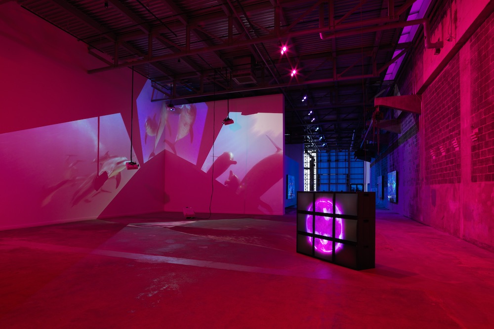 Diana Thater - ICA Boston