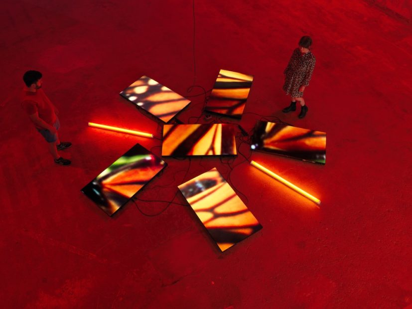 Diana Thater - ICA Boston