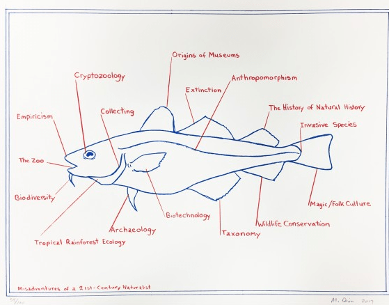 Mark Dion: Misadventures of a 21st-Century Naturalist - ICA Boston